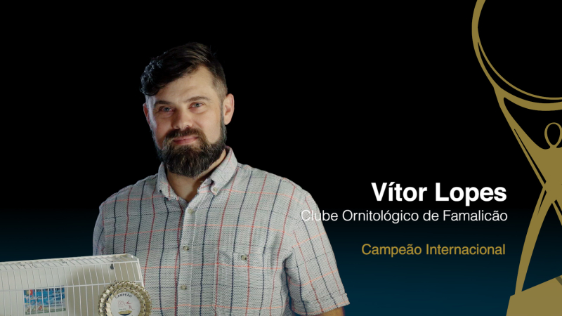 Vítor Lopes - Portal Famalicão Desportivo